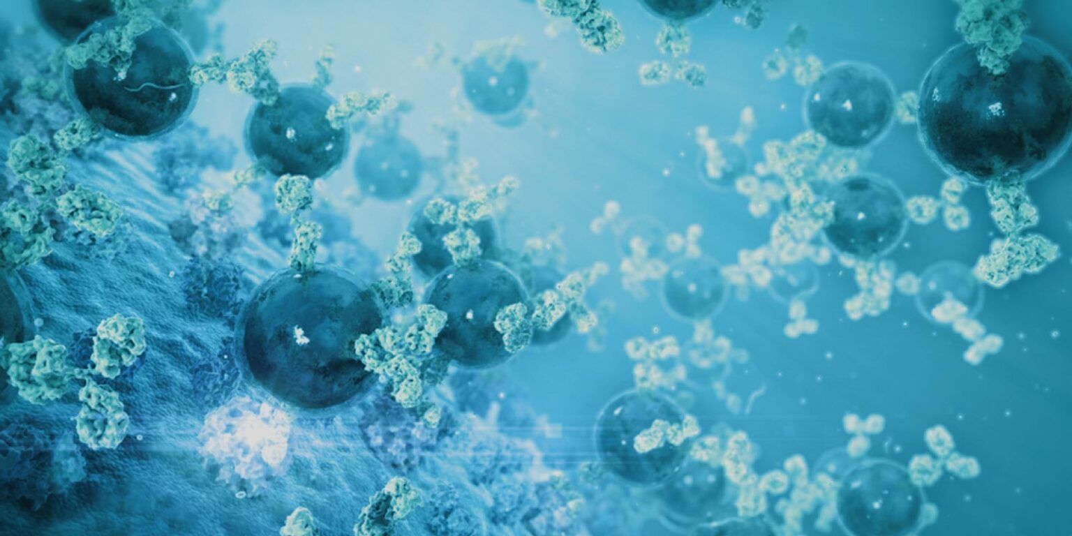 Molecular MRI Adds Certainty to Cancer Diagnosis - The Imaging Wire